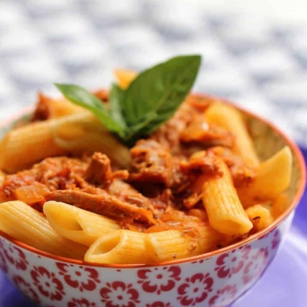 Leftover Lamb Ragu - Mama Loves to Cook
