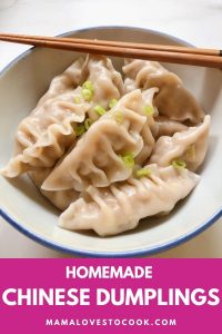 Traditional Chinese Dumplings (a step by step guide) - Mama Loves to Cook