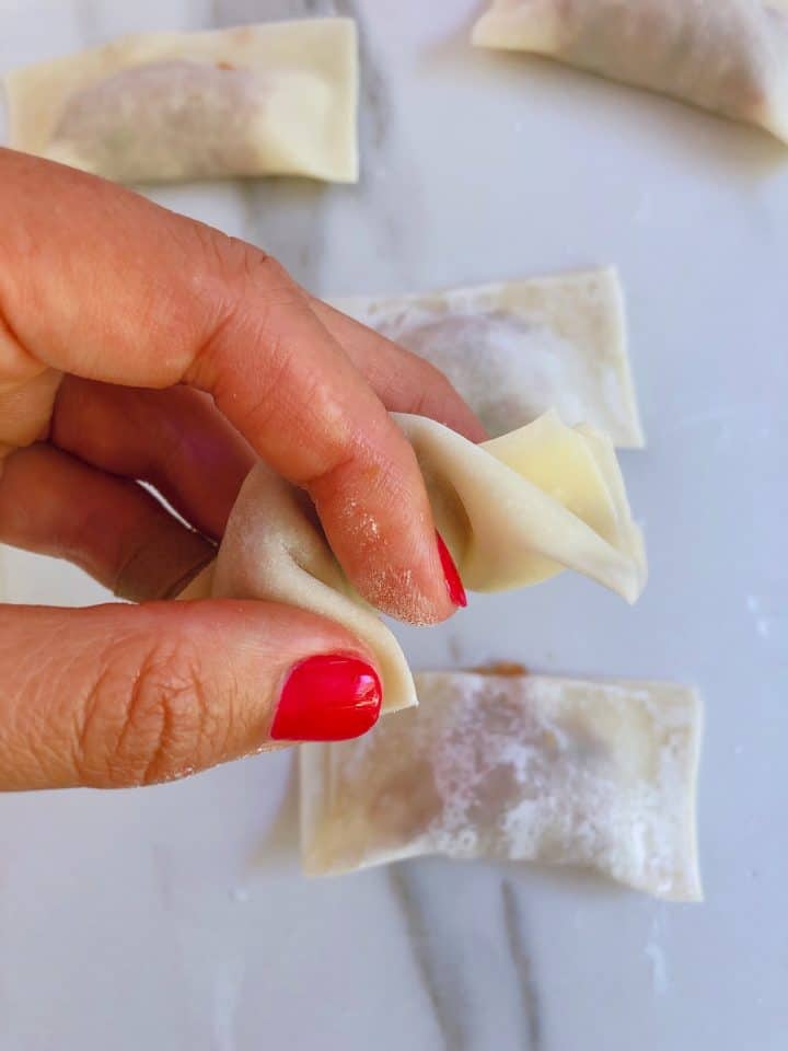Wonton Noodle Soup - Mama Loves to Cook