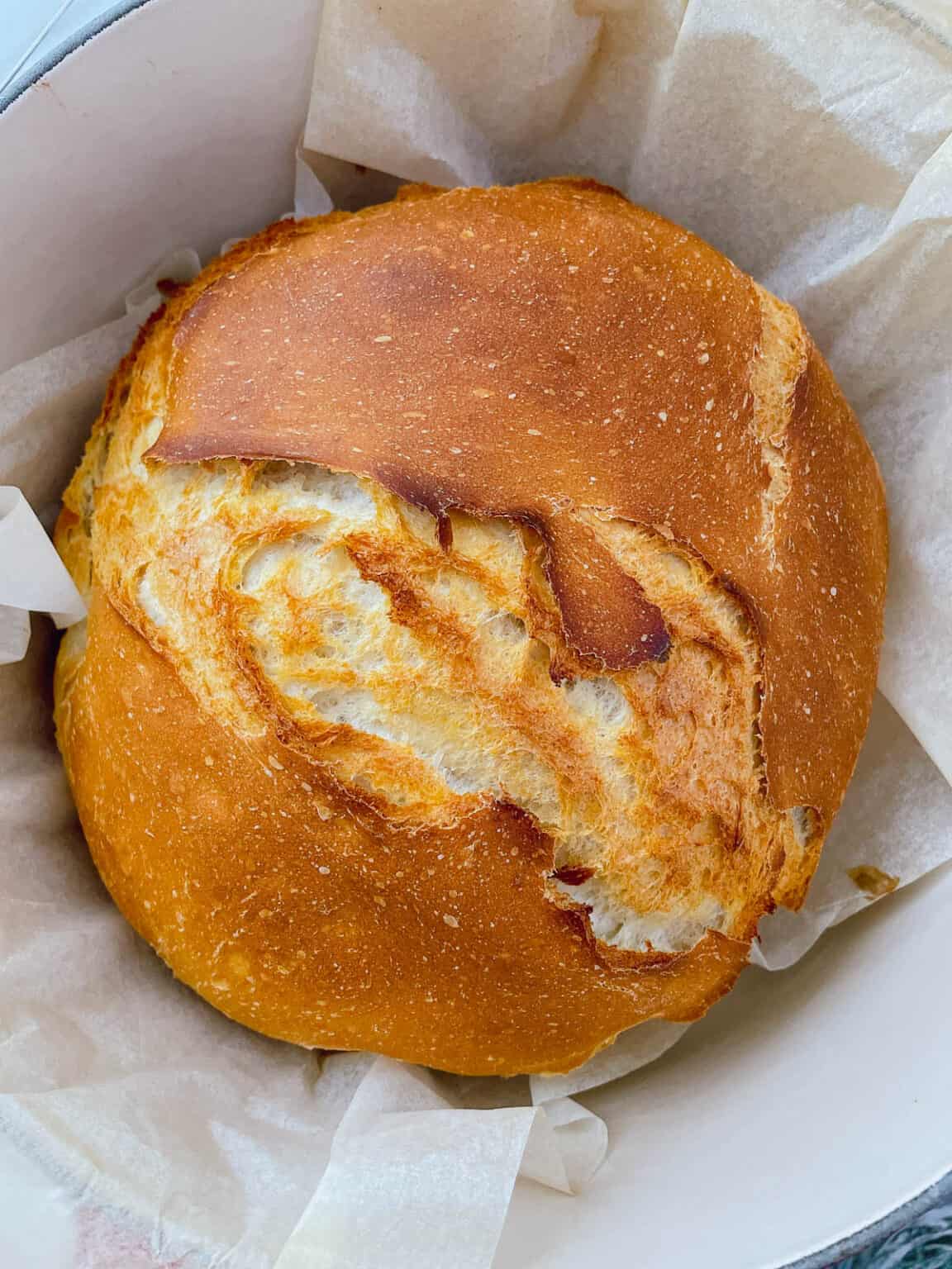 Easy Thermomix Bread - Mama Loves to Cook