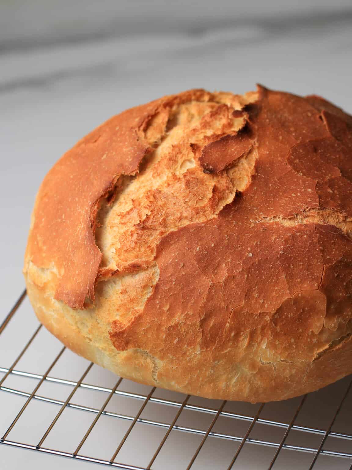 Easy Thermomix Bread - Mama Loves to Cook