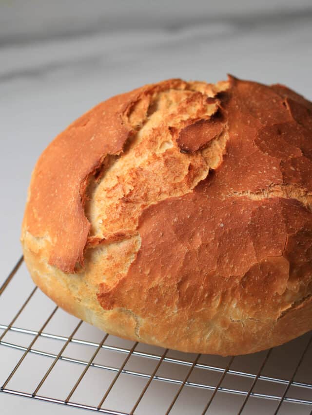 Easy Thermomix Bread - Mama Loves to Cook